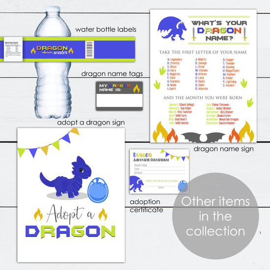 Dragon Birthday Party Dragon Name Tags and Sign Digital Files – La ...
